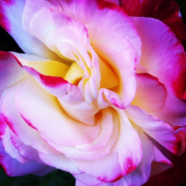 georgia o’keeffe – Beautiful Musings