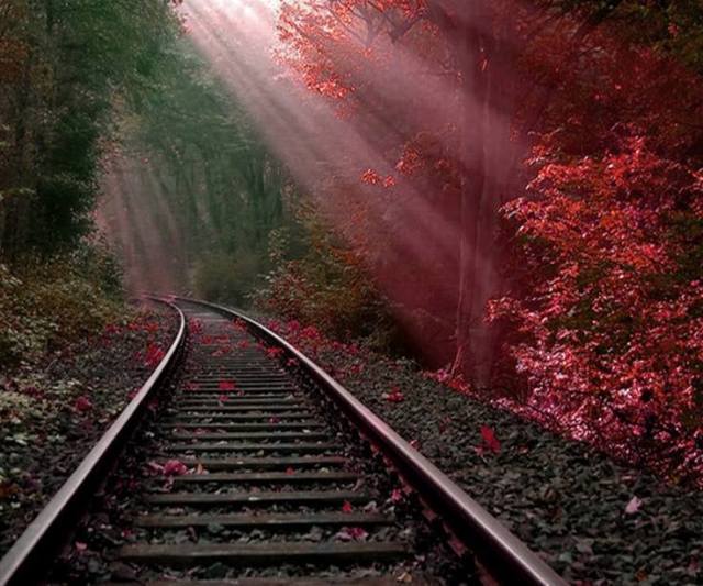 Beautiful Train Tracks 6 Most Beautiful Train Journeys In The World